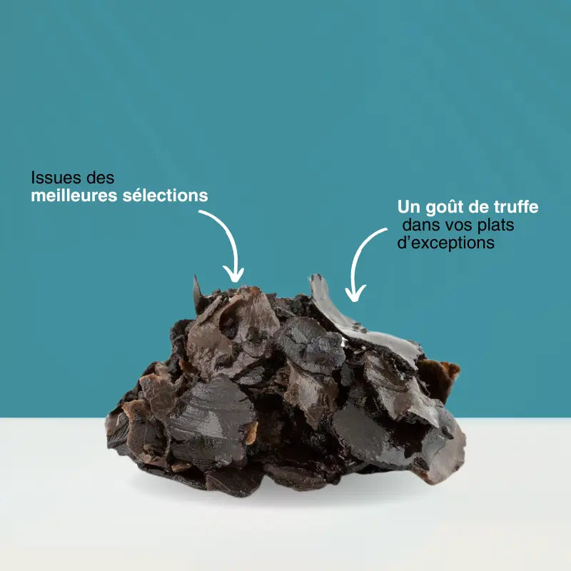 Pelures de truffes noire du périgord surgelés – MAISON HENRAS 1820